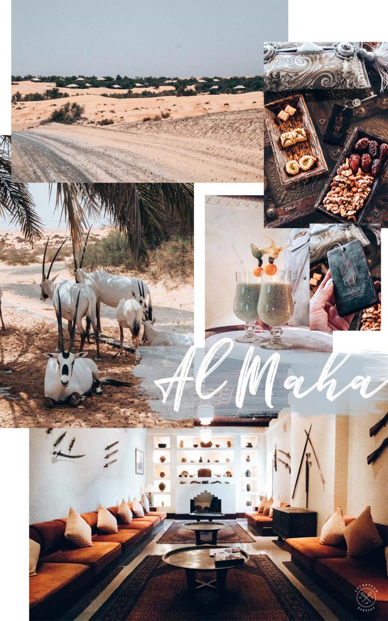 Al Maha Luxury Collection Desert Resort & Spa: A journey in the Dubai ...