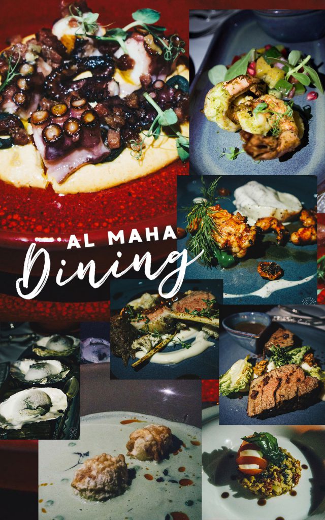 Al Maha Luxury Collection Desert Resort & Spa: A journey in the Dubai ...